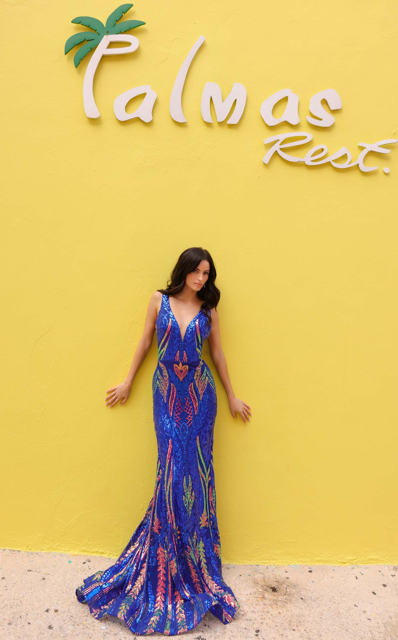 Nox Anabel R1402 Dress | TheDressWarehouse.com